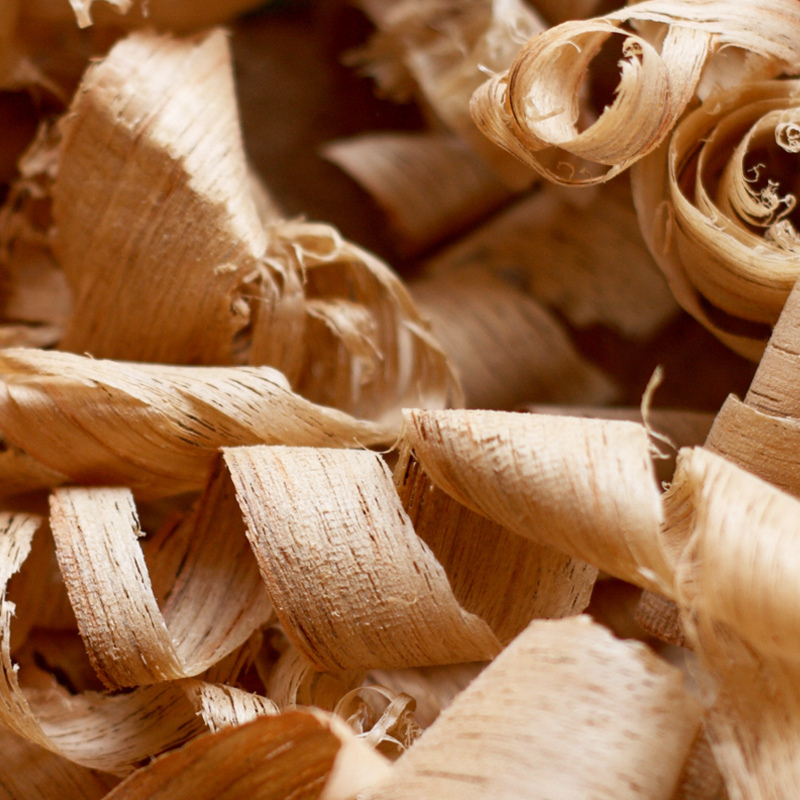 Cedarwood Blanc Fragrance Oil - CandleScience